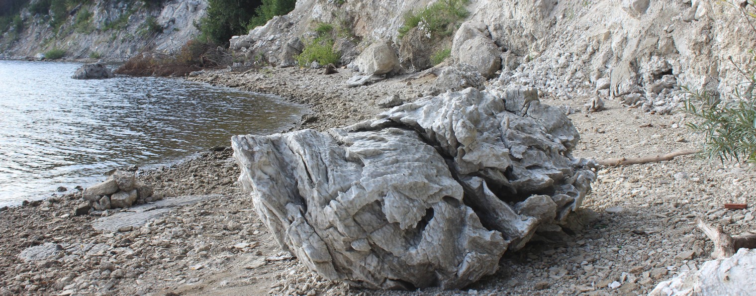 Cергей Огарышев