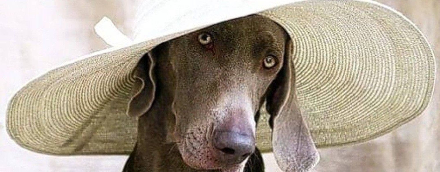 Лучшее видео приколы 2025 года.