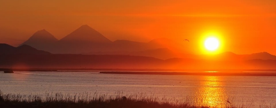 Дикарь Камчатка