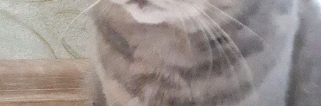 Вадим в Коломне