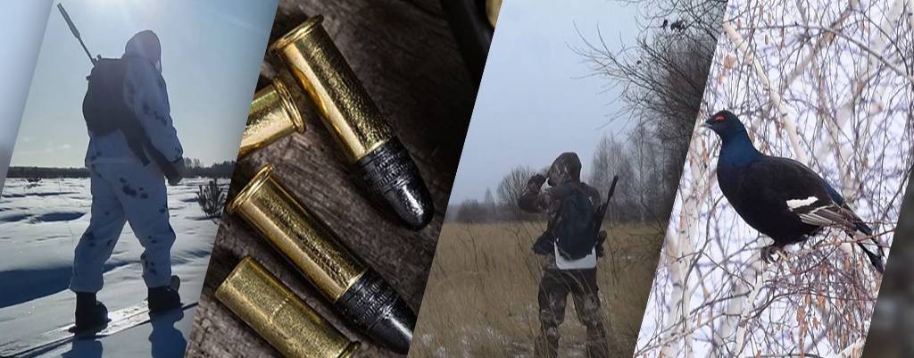 Мы одной крови