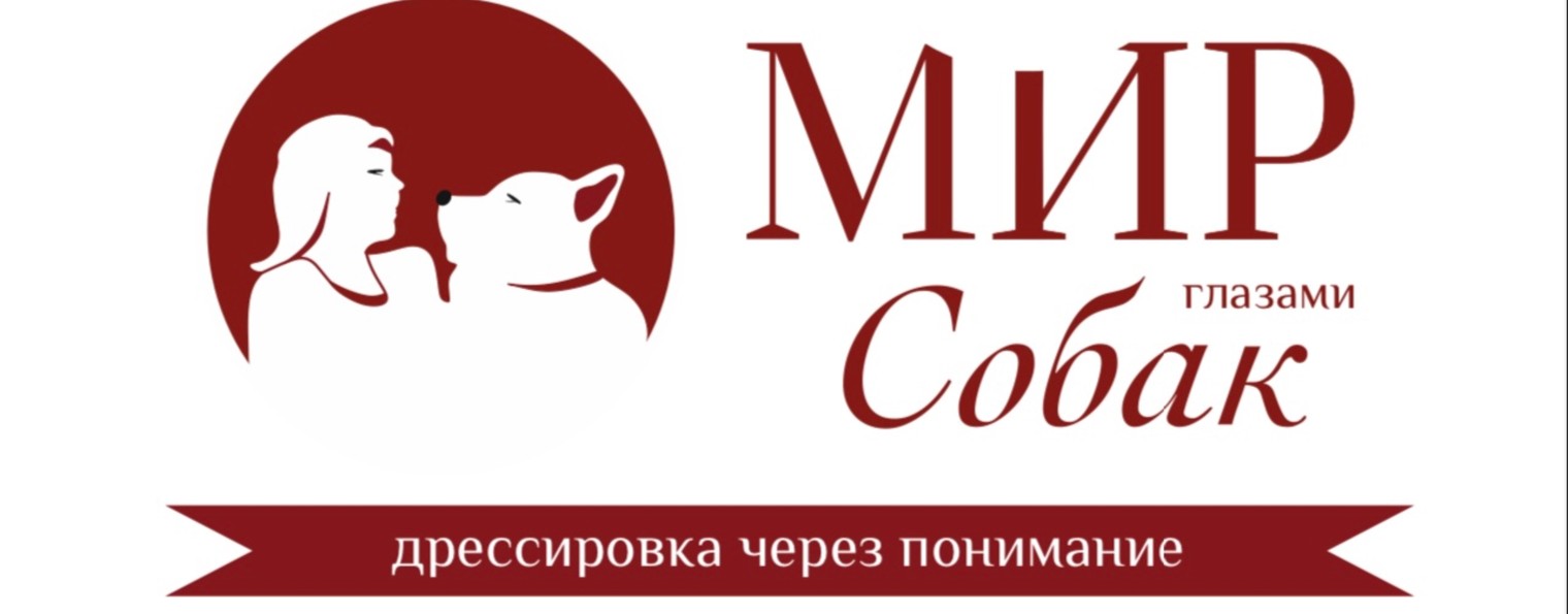 МИР ГЛАЗАМИ СОБАК