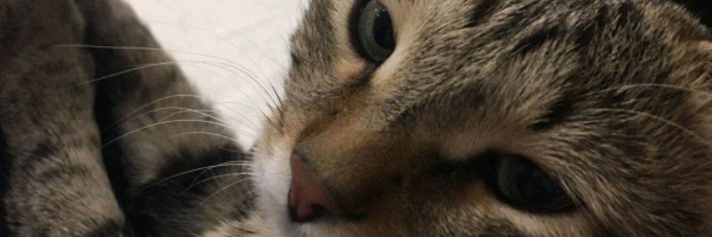 Настроение