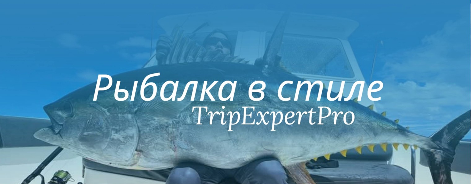 tripexpertpro