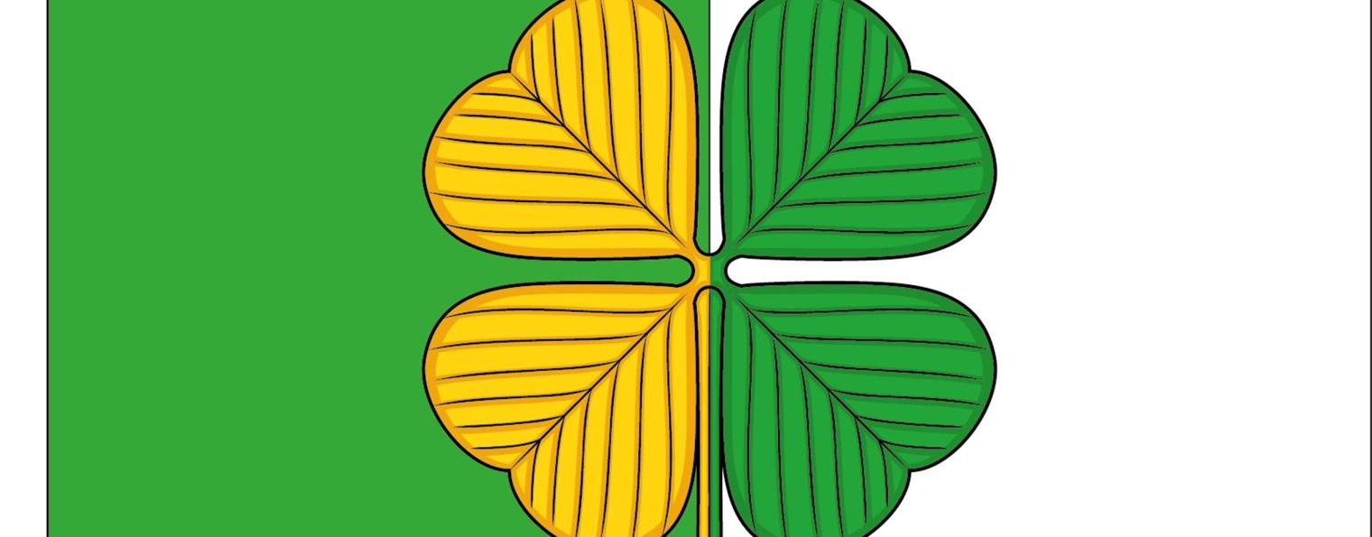 Совет депутатов муниципального округа Щербинка