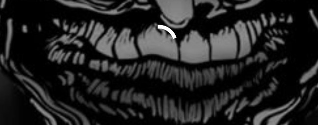 бодо бич бодо