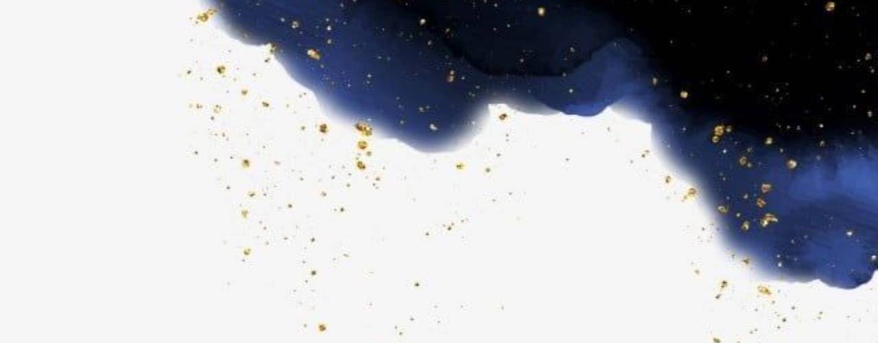 Снежкова Анна