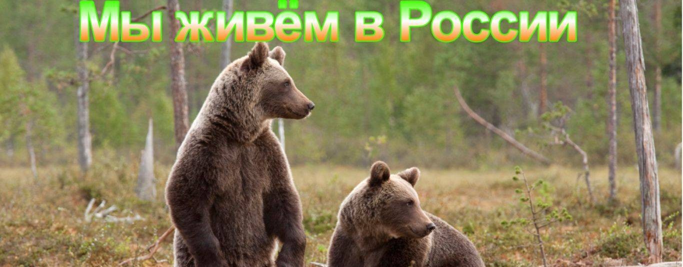 Делает САМ Сергей