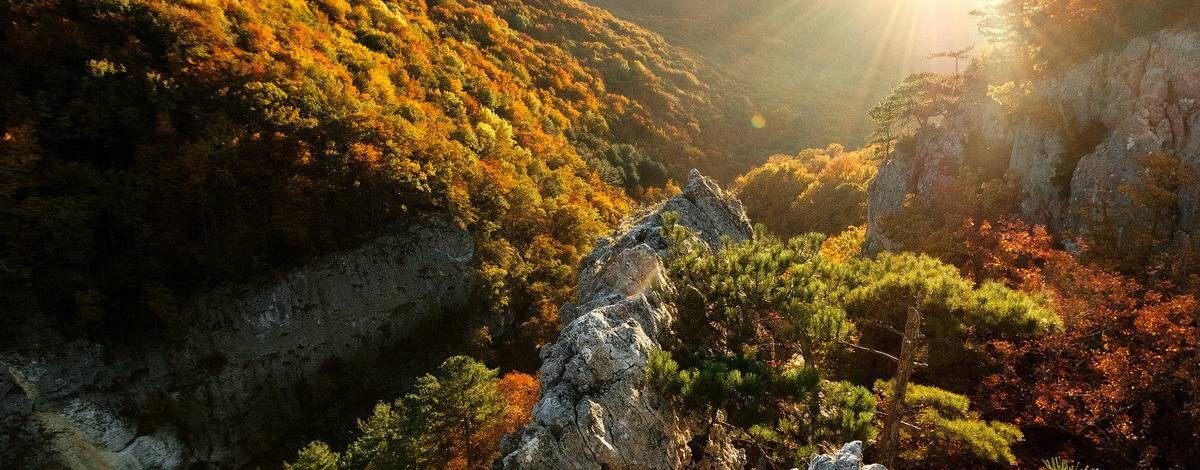 Наталья Осенняя