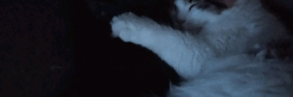 Каташаева
