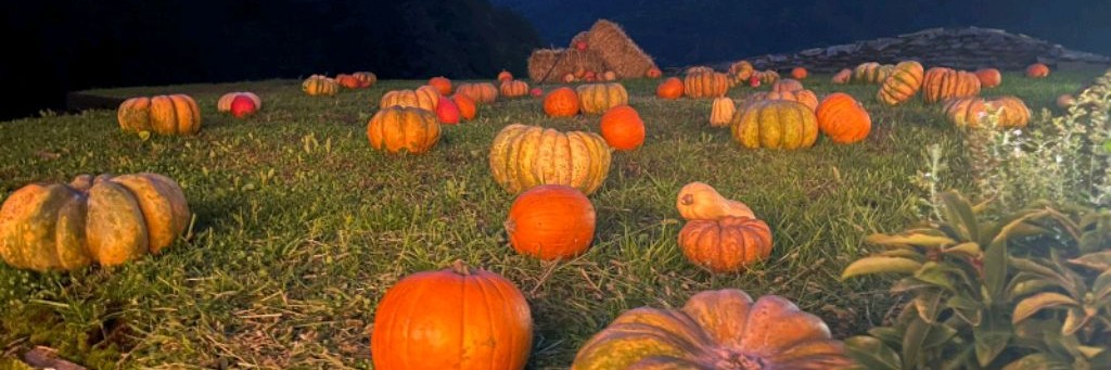 Русский Баян