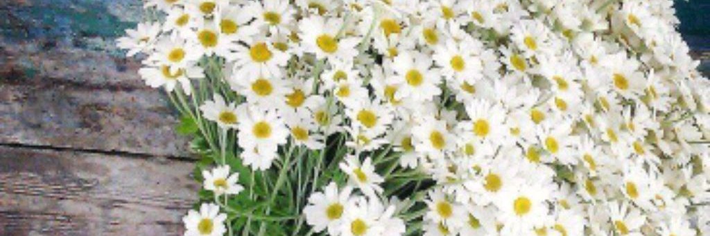 Христос Воскрес.