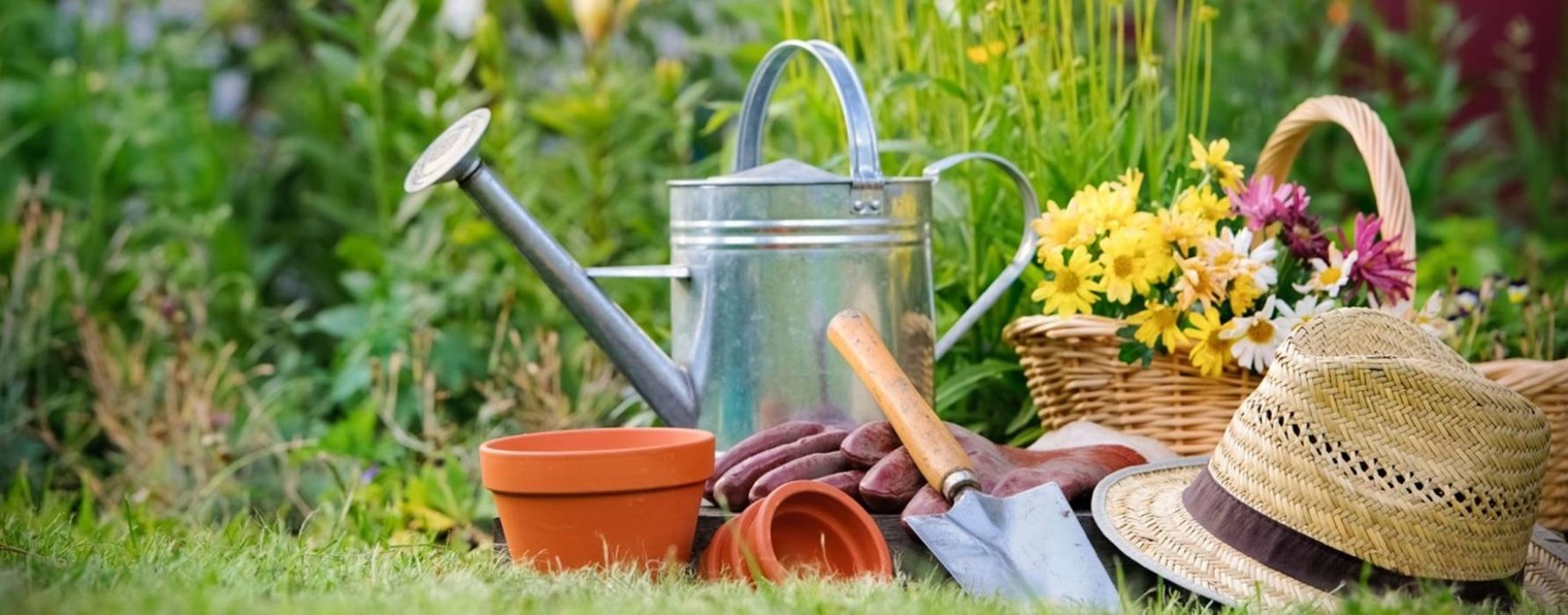 Сад и огород