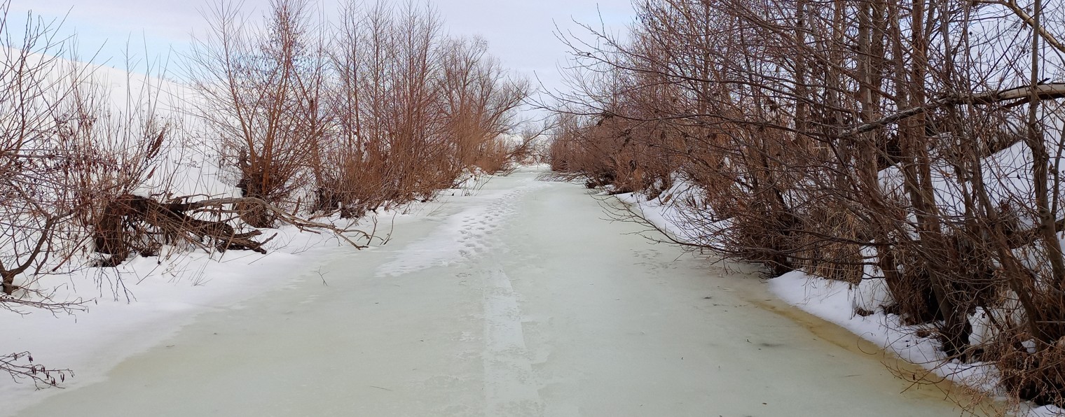 Рыбалка и кулинария