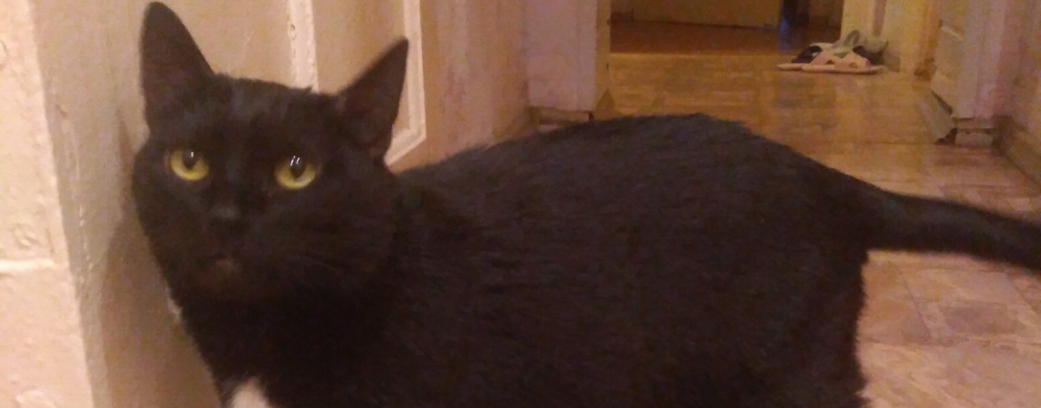 Смешная Дуся