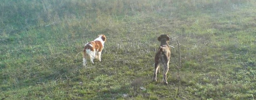 Дон Филд Хантер