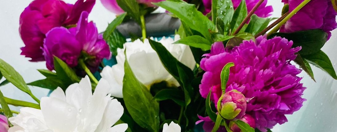 Разида Ахметова