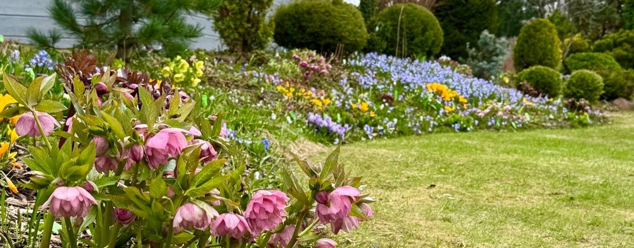 Сад Дракона