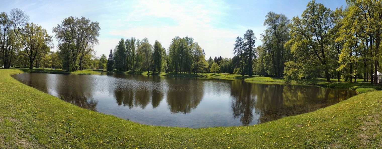 Живу на позитиве