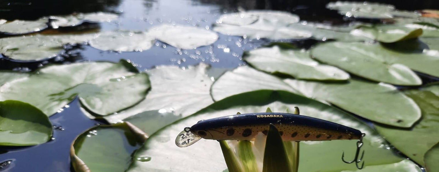 Обслуживание, ремонт и тюнинг рыболовных  катушек