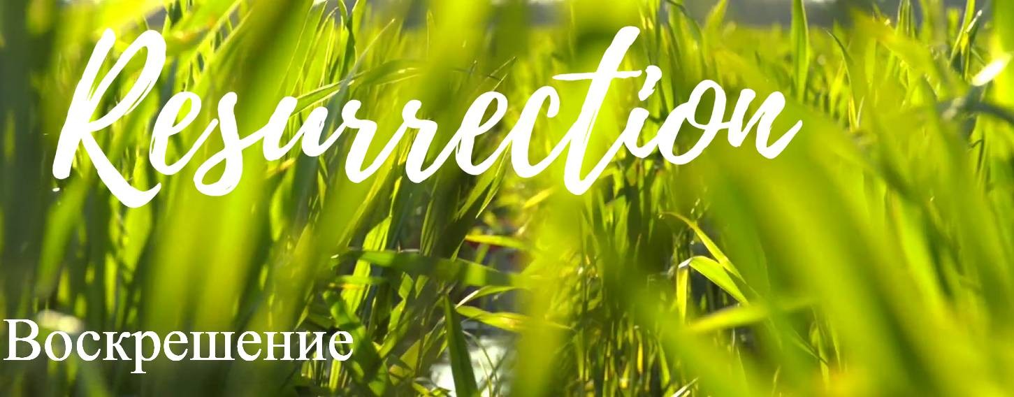 Воскрешение / Resurrection