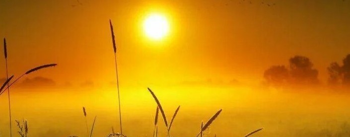 Дамир Байбиков