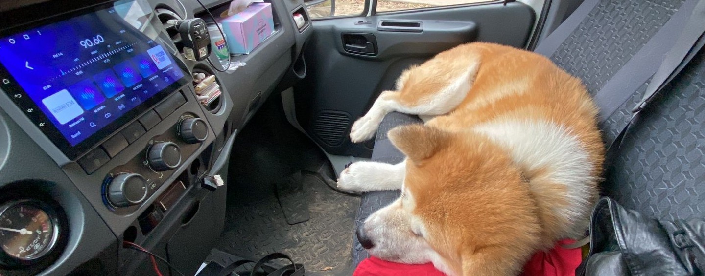 Олег (Некстик)