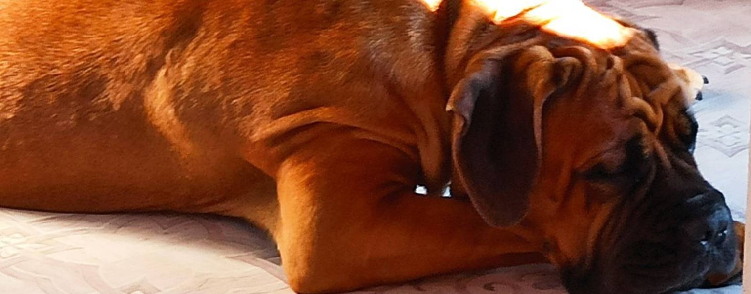 Приключения итальянки в России