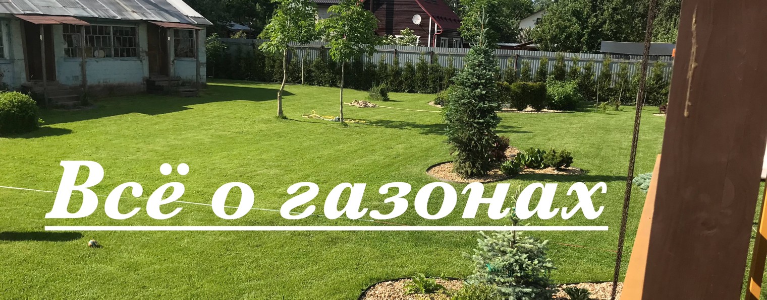 Миша Гарден