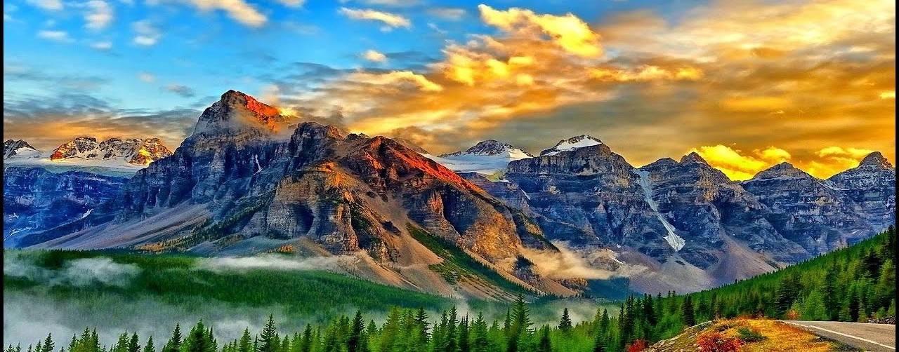 Центр BS по благоустройству и озеленению