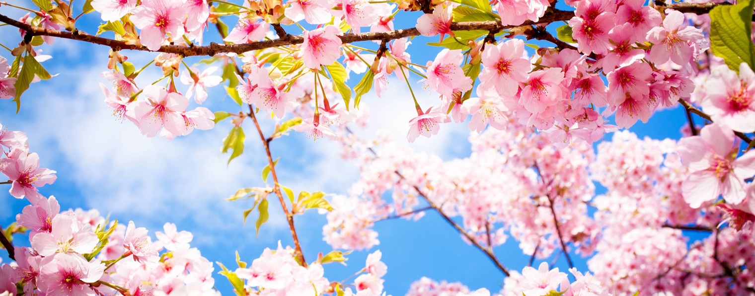 Мамские будни