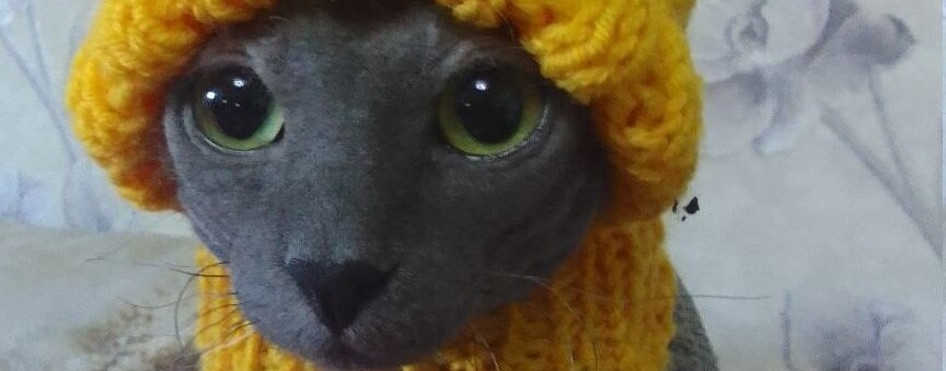 Красавчик сфинкс Ферхат