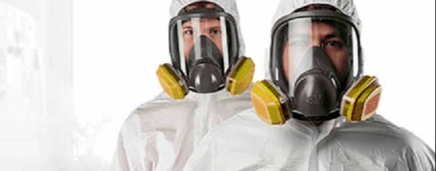 Городской центр дезинфекции " СЭС групп "