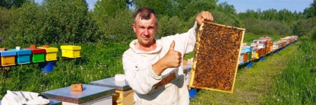 Пасека Ишутиных-пчеловодство для всех