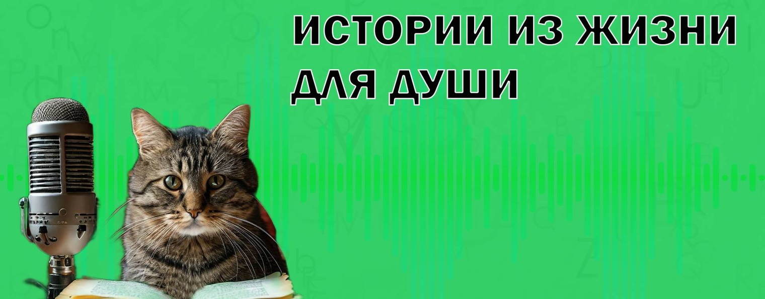 ИСТОРИИ ИЗ ЖИЗНИ ДЛЯ ДУШИ