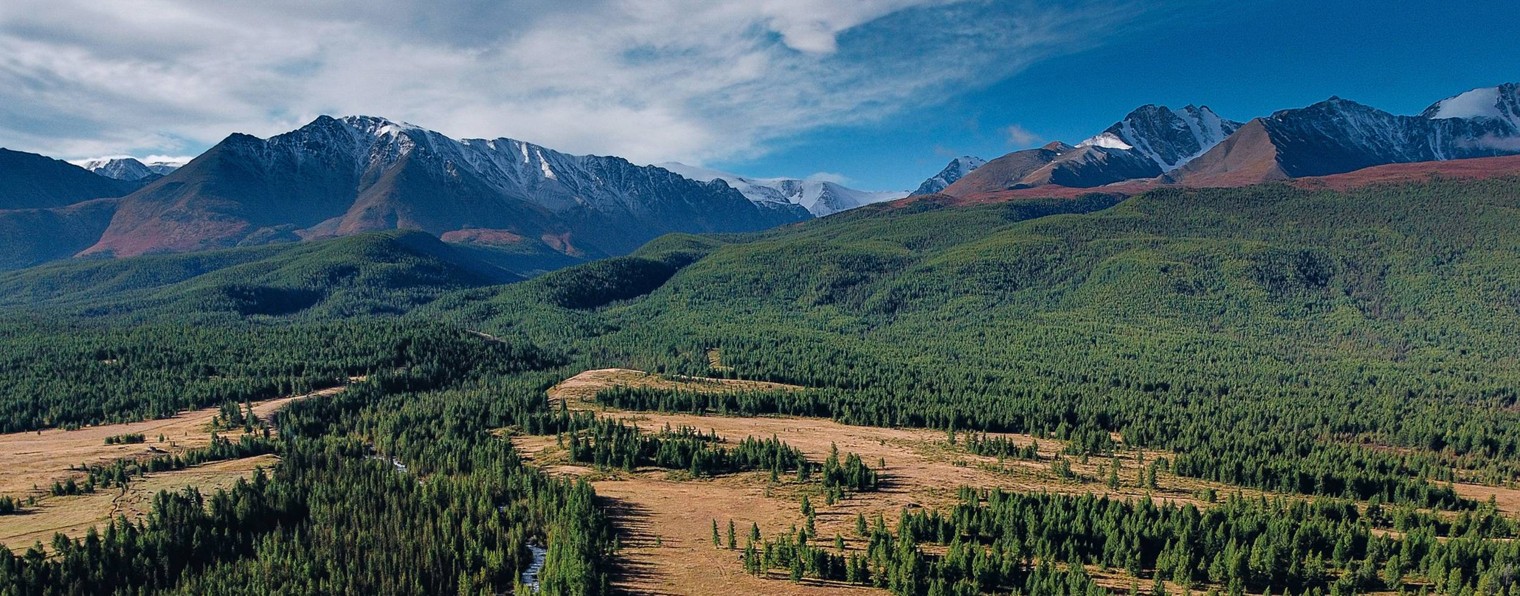 Трофеи Алтая