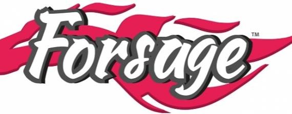 Форсаж Плюс