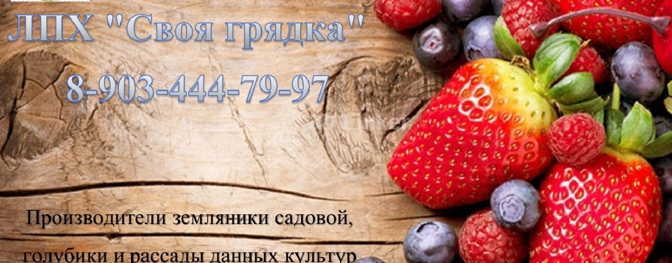 Лпх СВОЯ ГРЯДКА 🌱🍓🫐