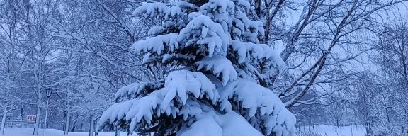 Природа -как источник вдохновения