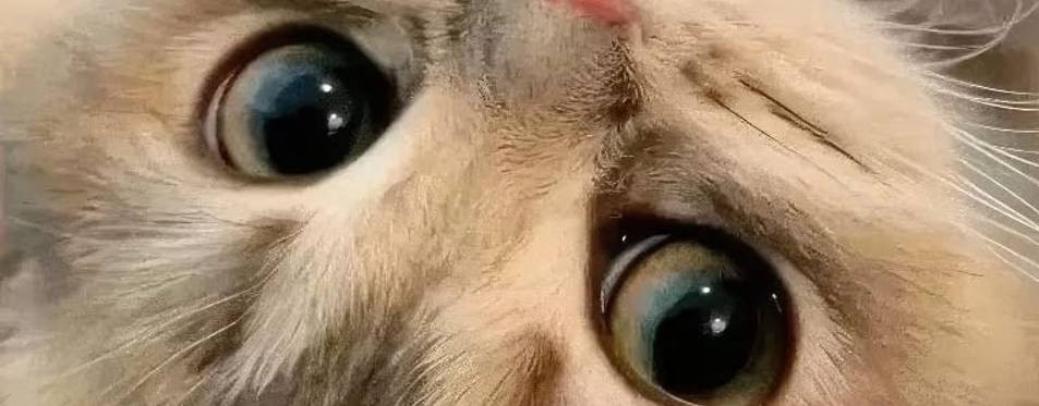 Мир вокруг нас. Животные Птицы Природа