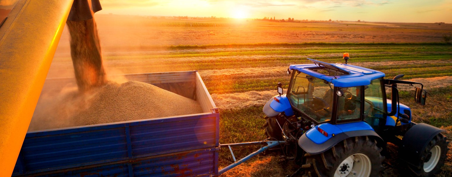 MAS Seeds Россия - МАС Сидс Россия