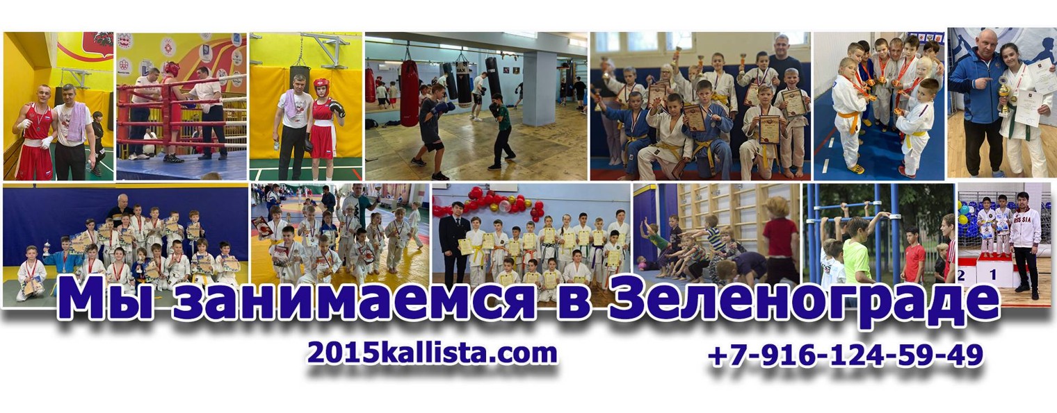 Зеленоград спортивный.Центр единоборств Каллиста http://2015kallista.com/