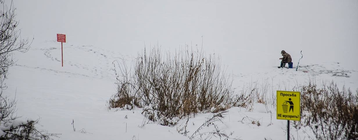 Медленная жизнь