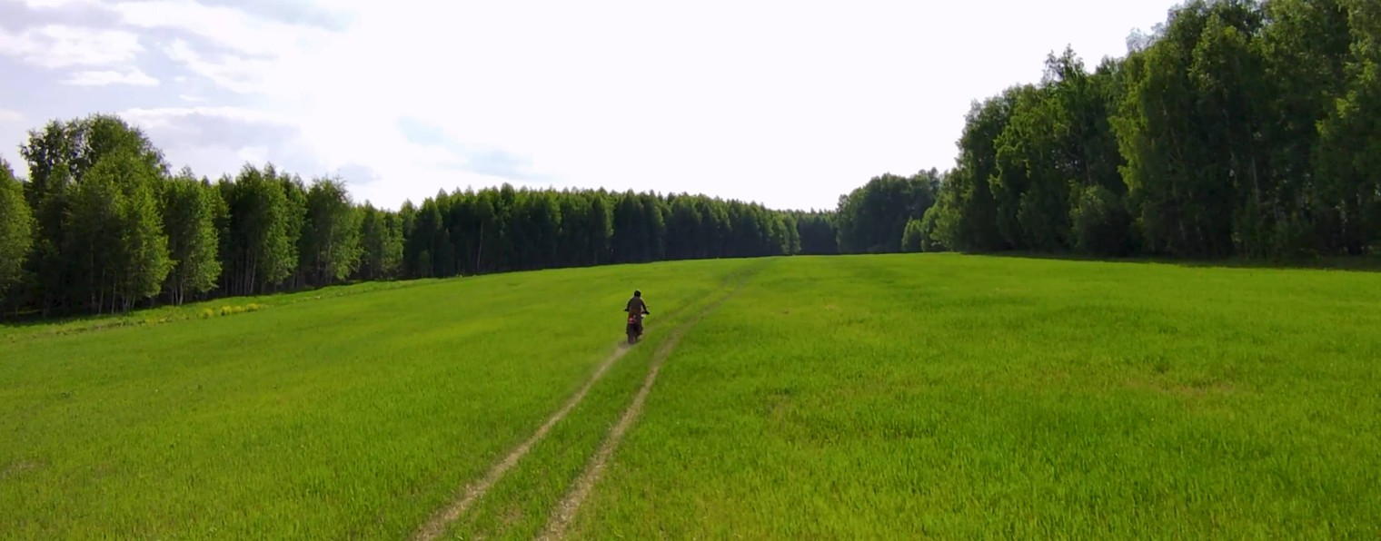 Green Desert of Siberia