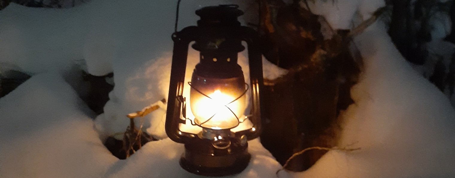 Медведева Августина