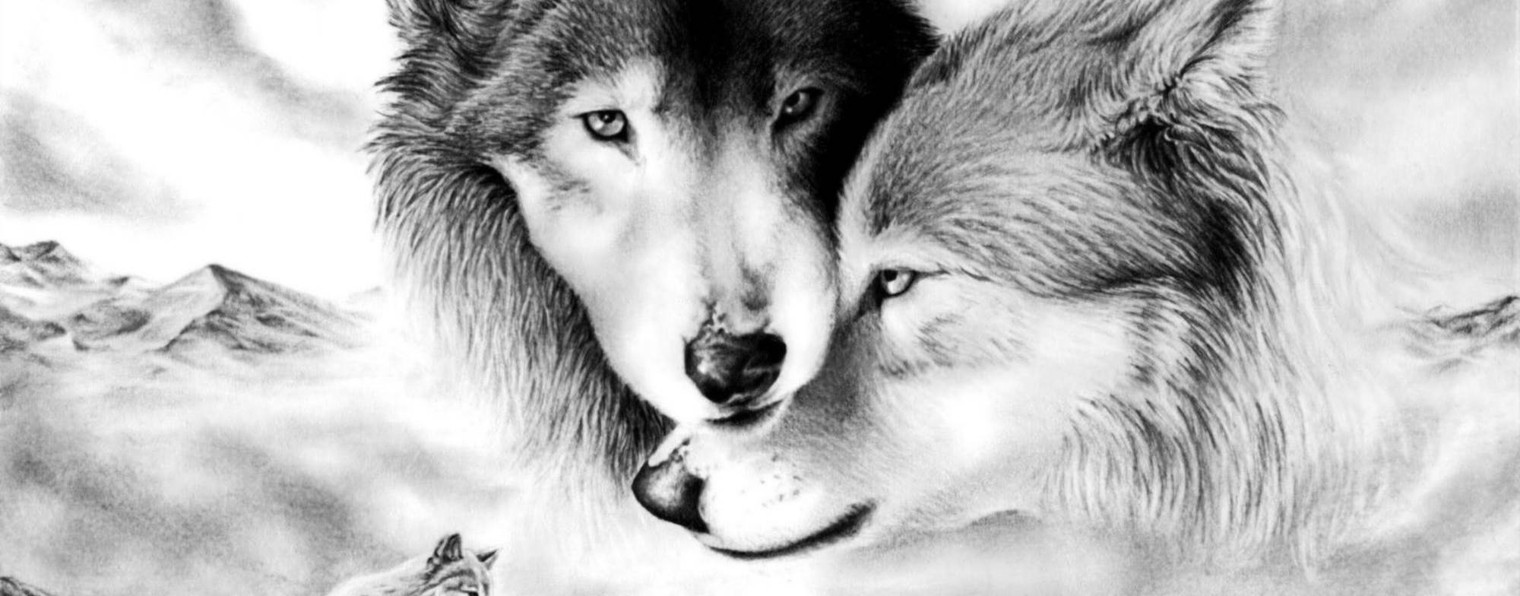 КИНО-89 Служба Отлова, Приют ГороДог Новый Уренгой