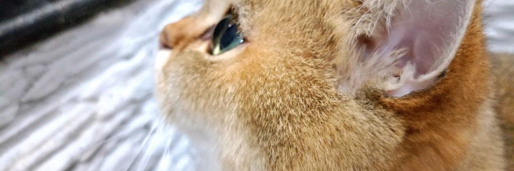 ПРОСТО ГЛЕБ