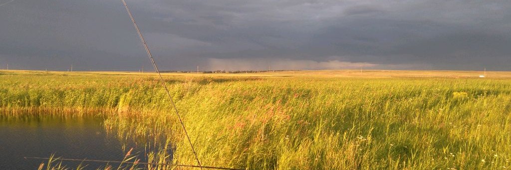 Игорь-техник