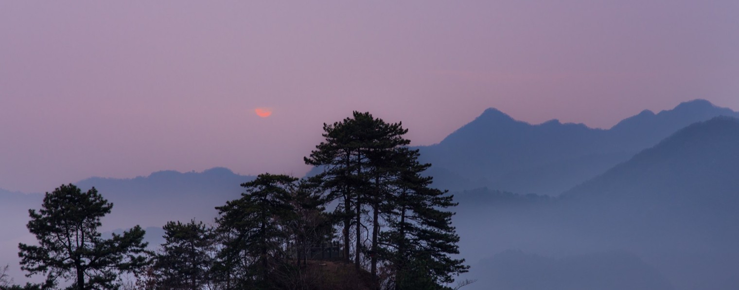 Школа "Секреты Восточной Медицины"