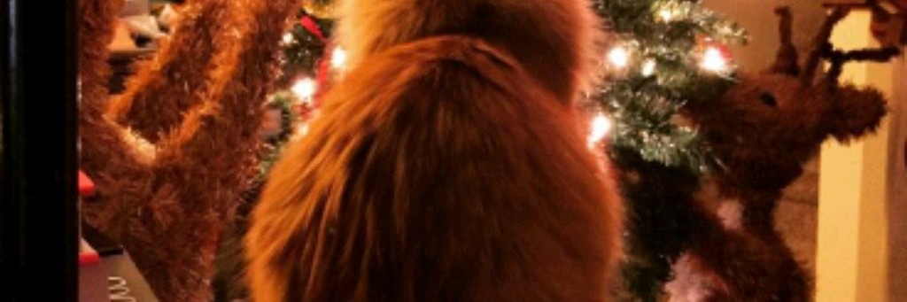 кладовочка